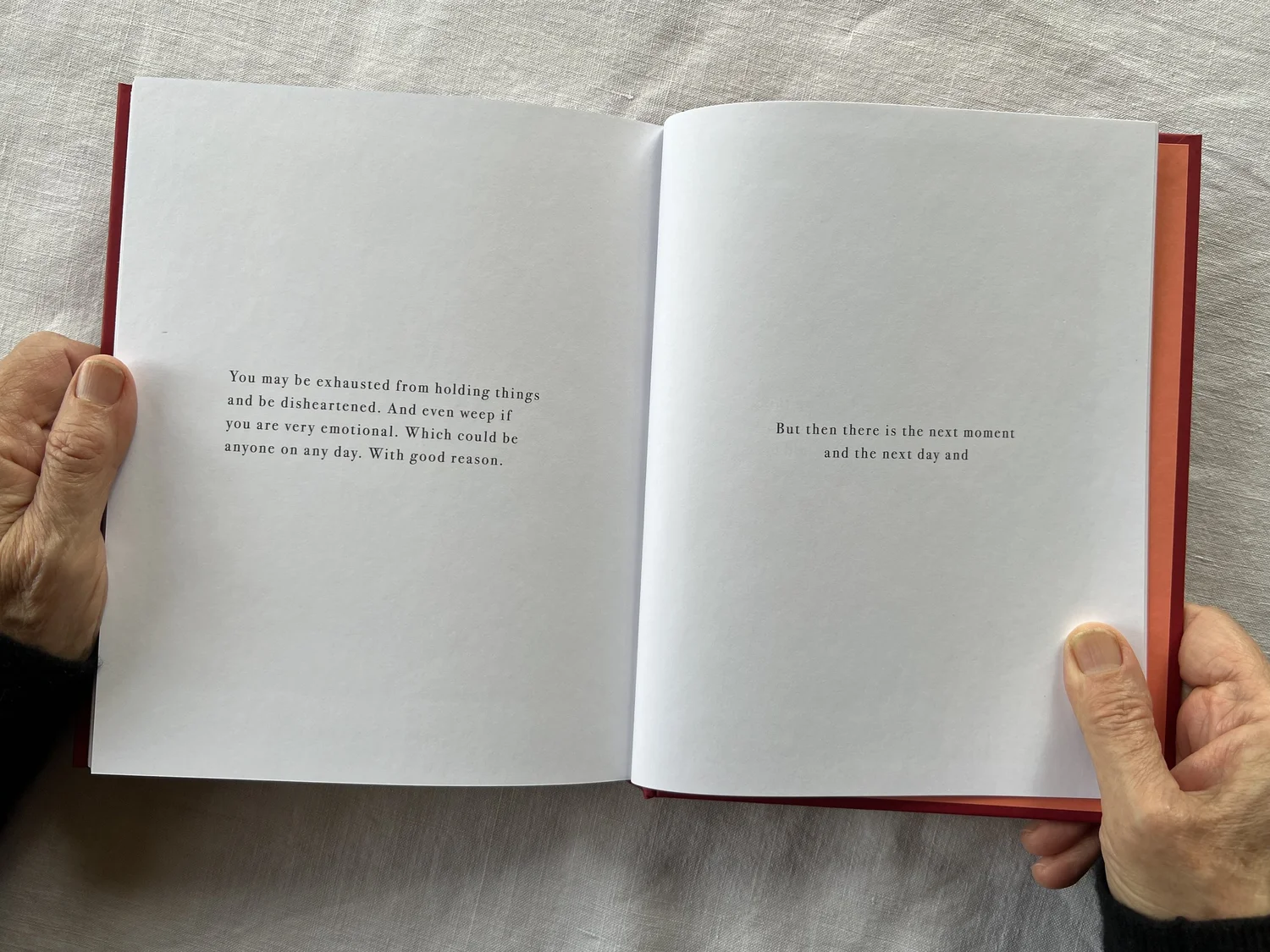 Women Holding Things Book — Maira Kalman