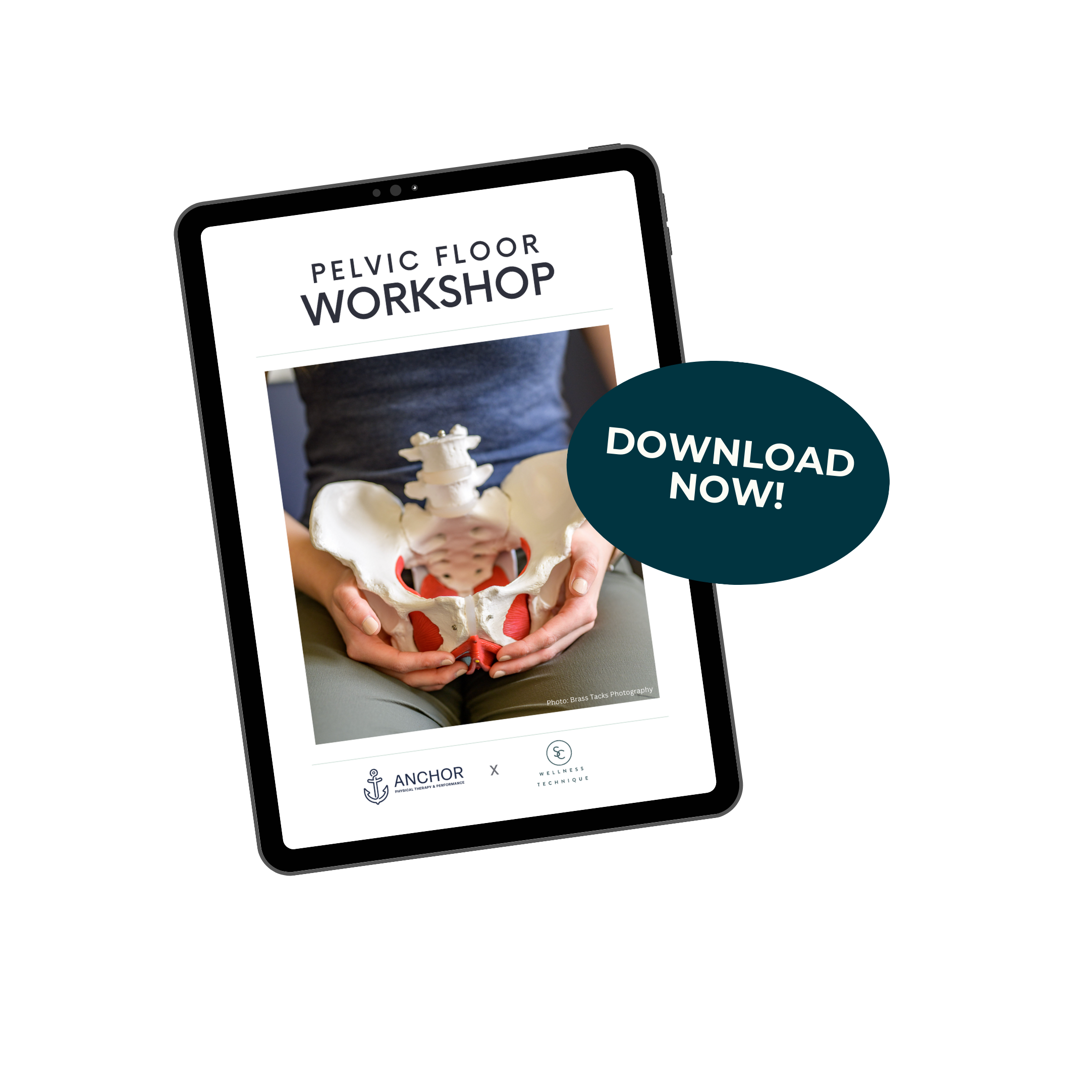 Pelvic Floor Physical Therapy — Anchor Physical Therapy & Performance