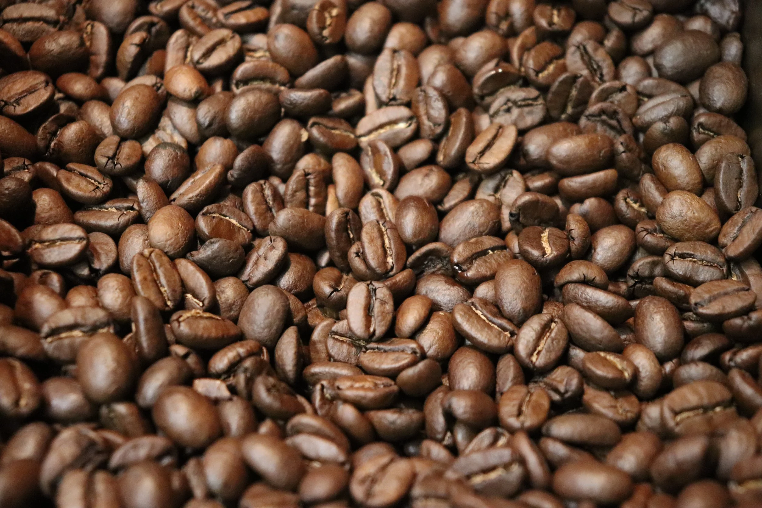 Floridian Coffee Roasters | Experience Premium Coffee Today