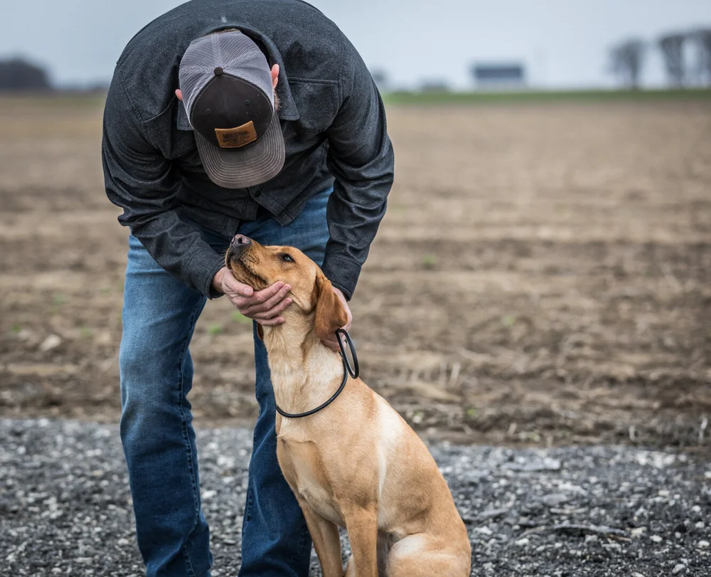 Products — RPM Training Products