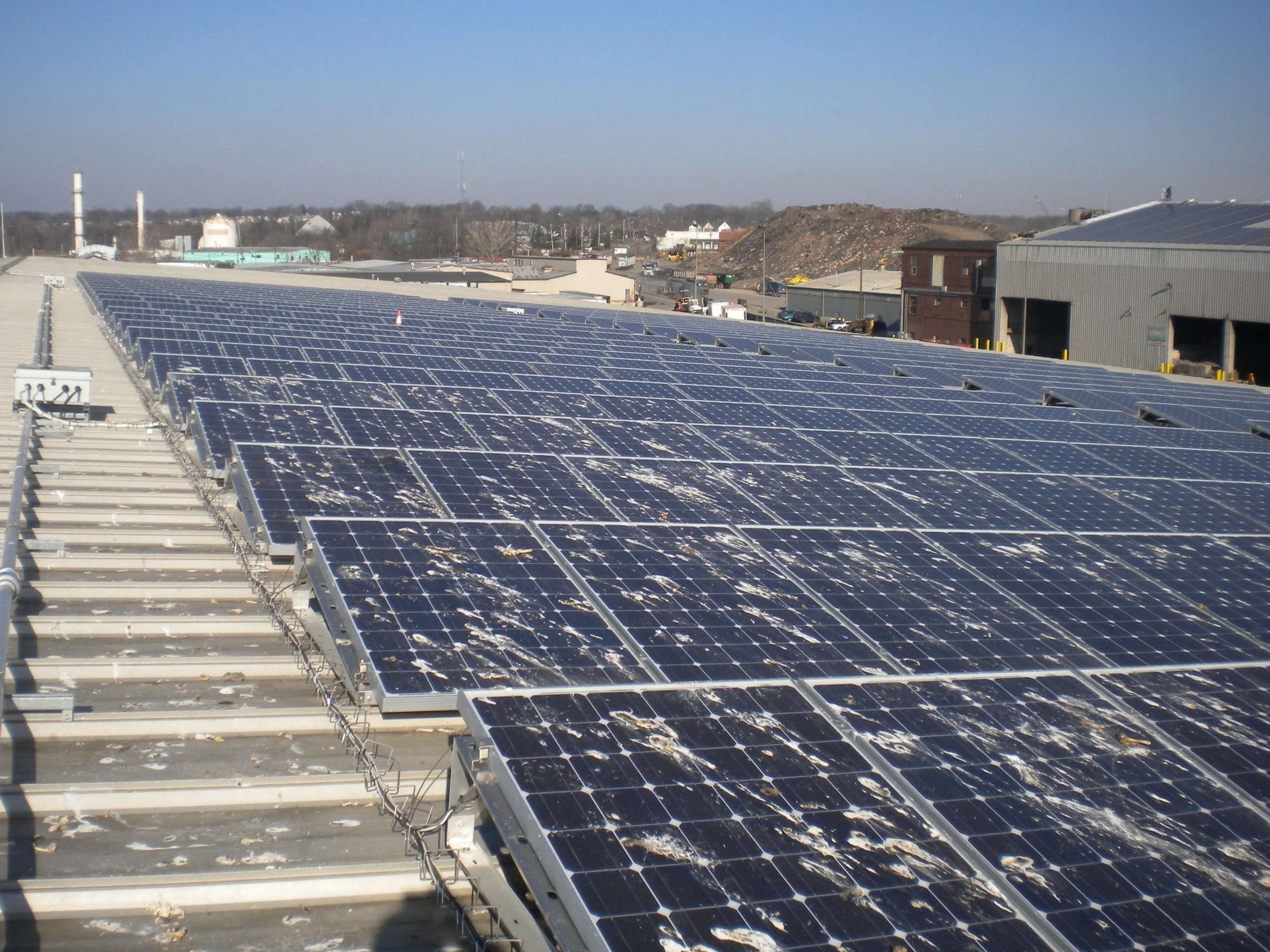 Laser Systems for Bird Control — Bird Control Advisory