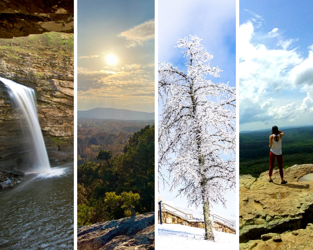 Board of Directors — Tri-Peaks Tourism