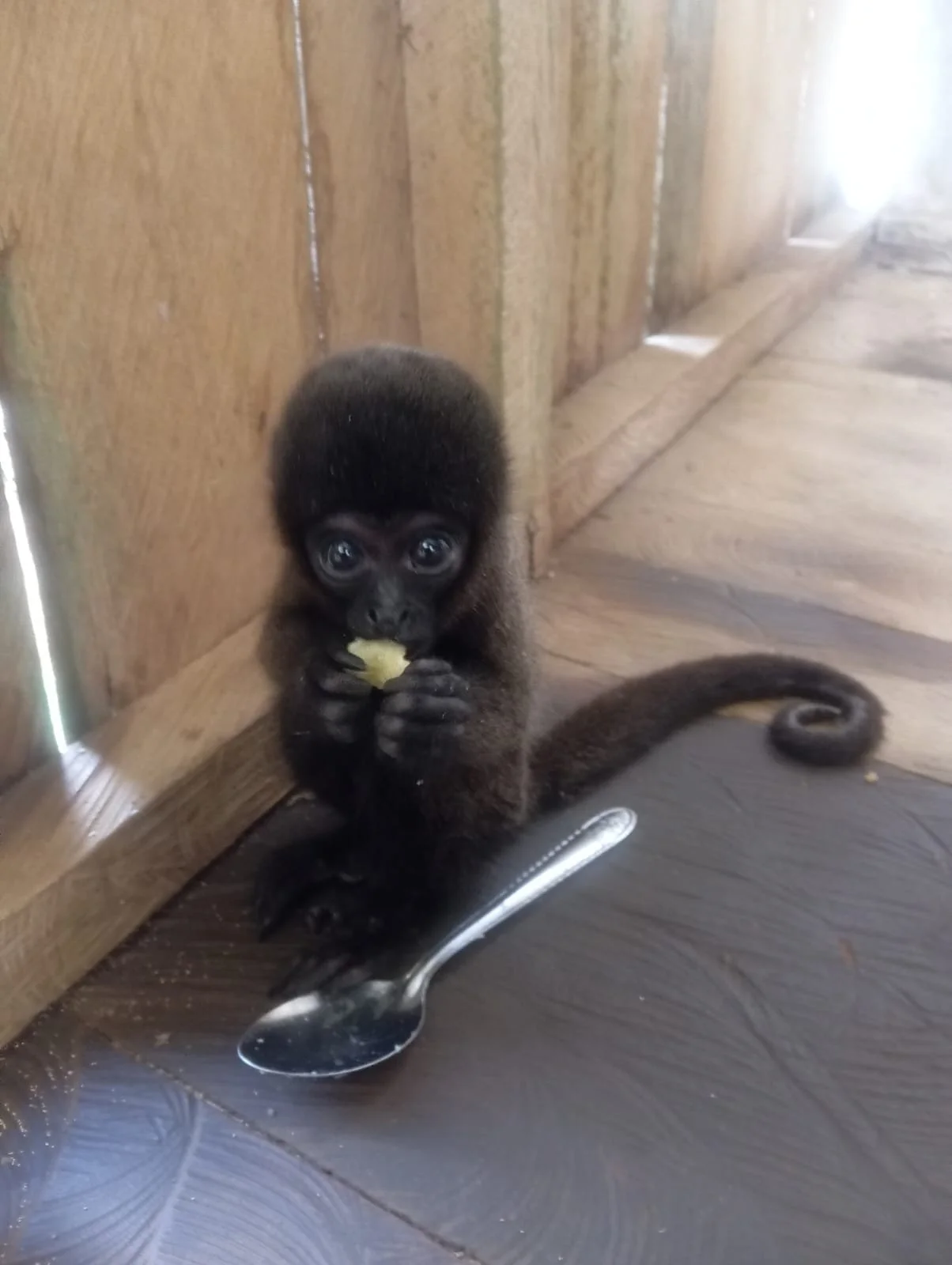 Ying’s Work On Her Self — Split Theatre