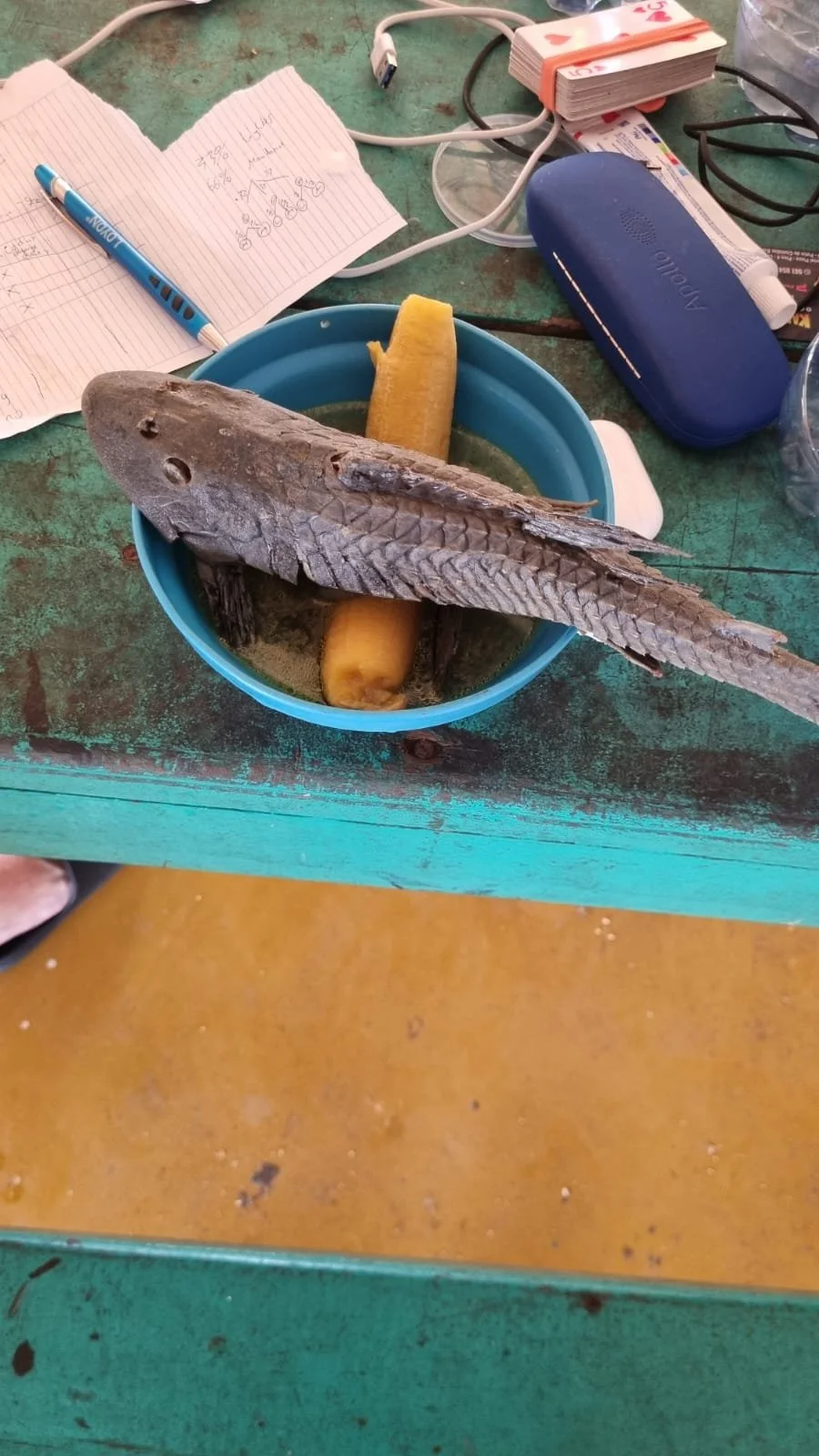 Ying’s Work On Her Self — Split Theatre