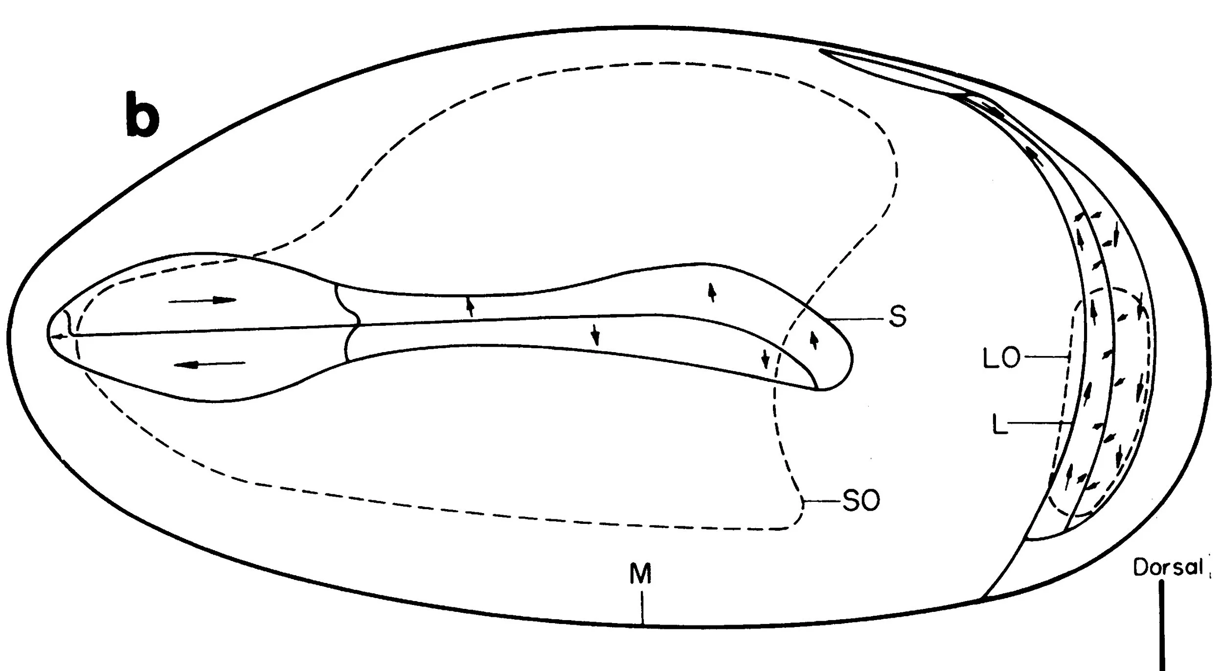 General 2 — Aquatic Bioacoustics