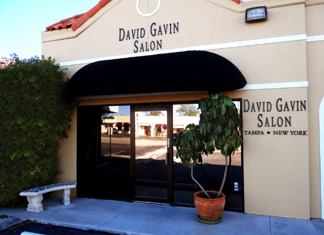 TAMPA — DAVID GAVIN SALONS