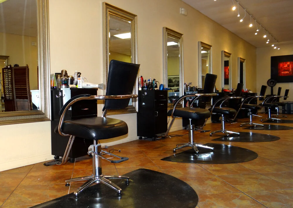 TAMPA — DAVID GAVIN SALONS