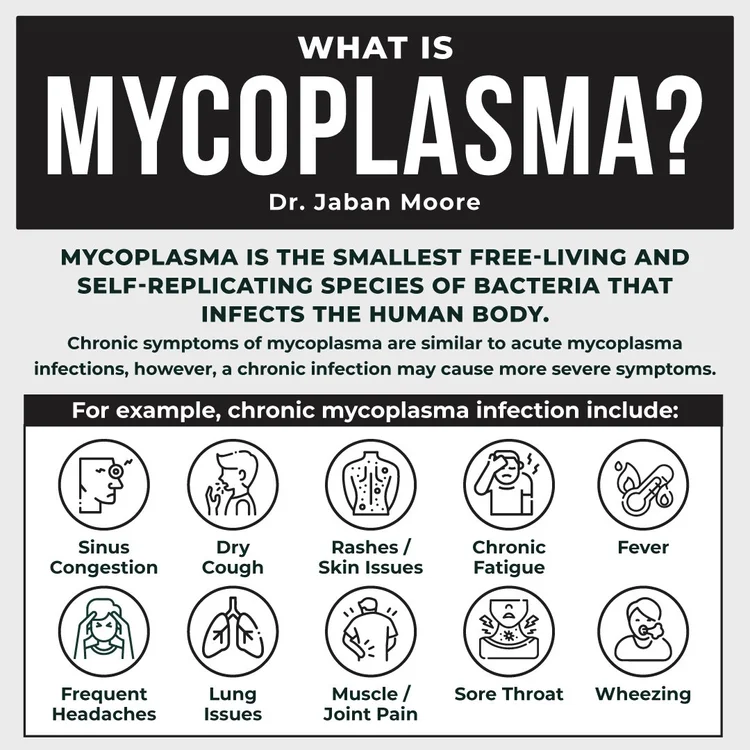 Mycoplasma: The Chronically-Overlooked Infection — Dr. Jaban