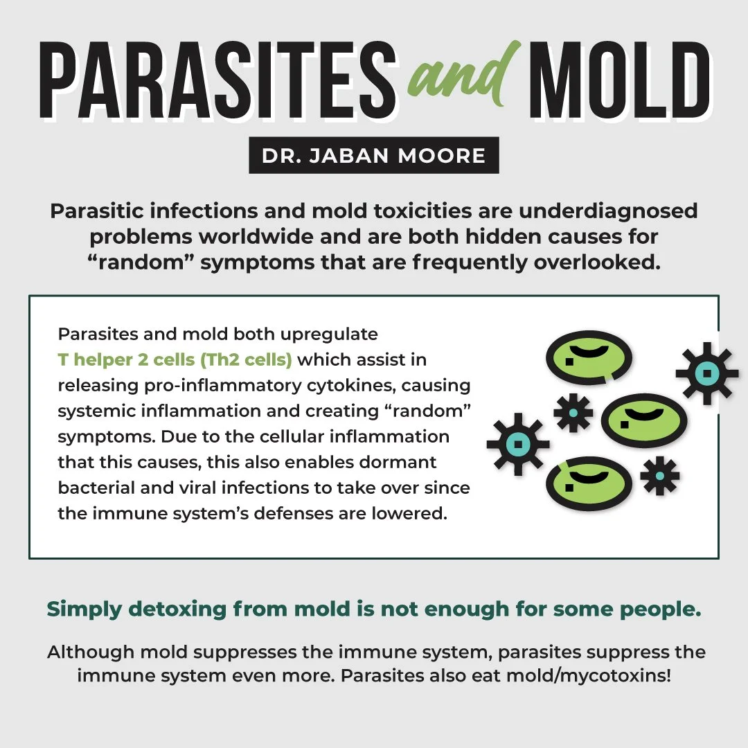 The Parasite & Mold Connection — Dr. Jaban