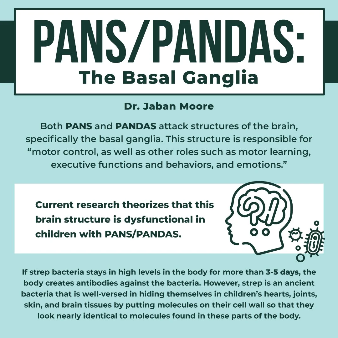 Is Your Child Being Affected by PANS or PANDAS? — Dr. Jaban