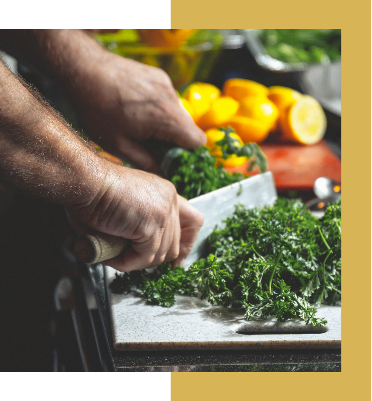 1st Course Capital Early Stage Venture Firm