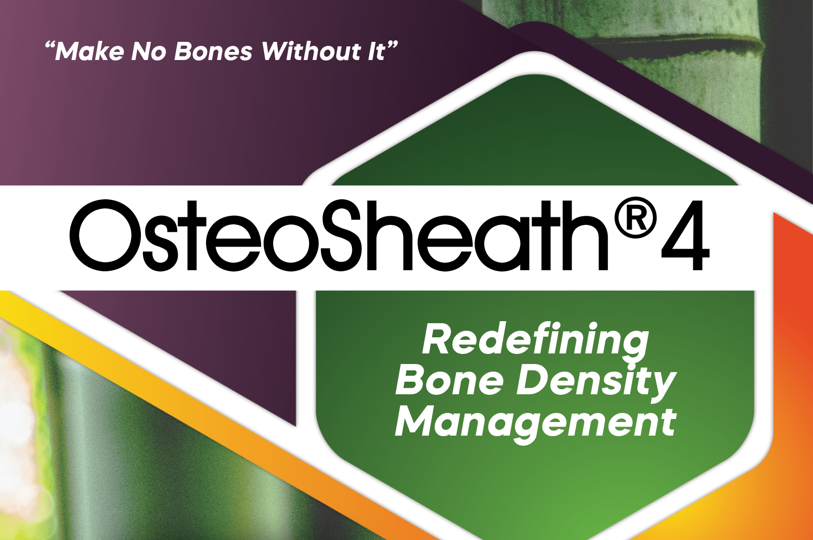 Product Info Collection