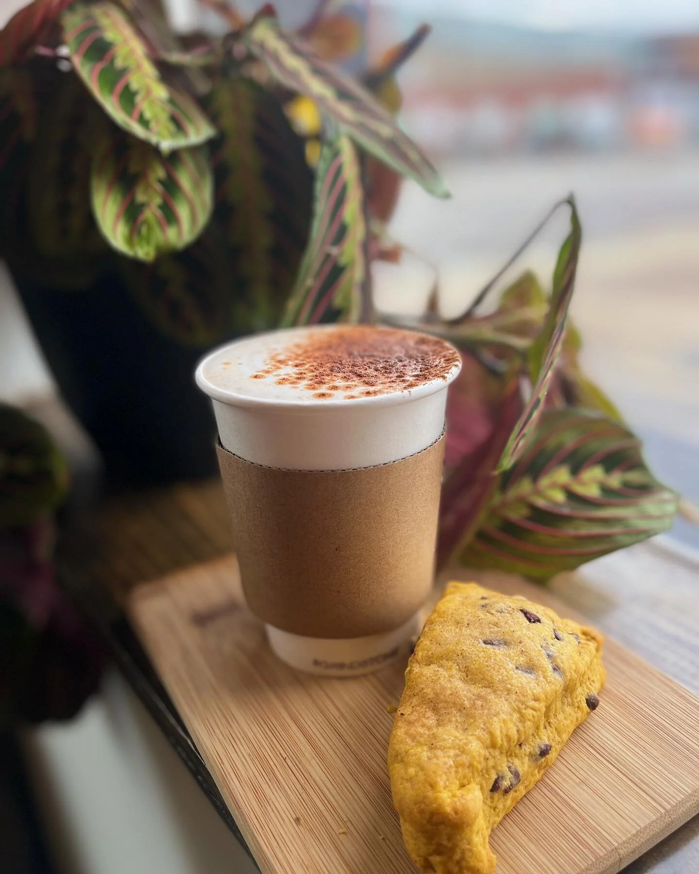 Grindstone Coffeeology