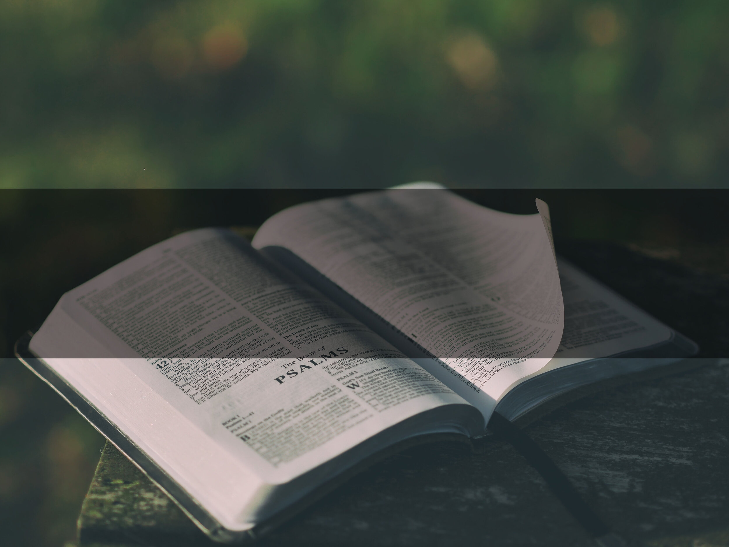 St. Luke's Peckham Weekly Newsletter 8 — St Luke's Peckham