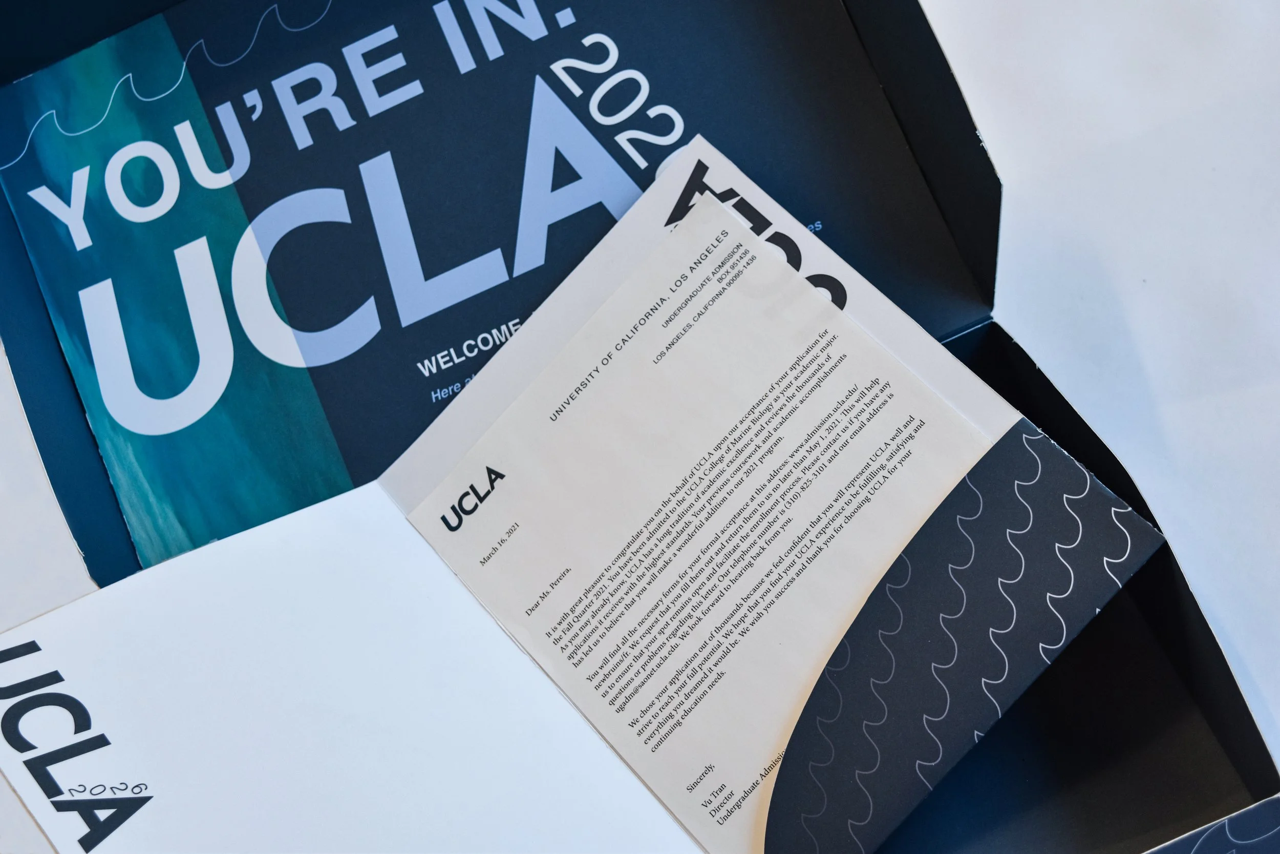 Ucla Business Cards Examples For Students