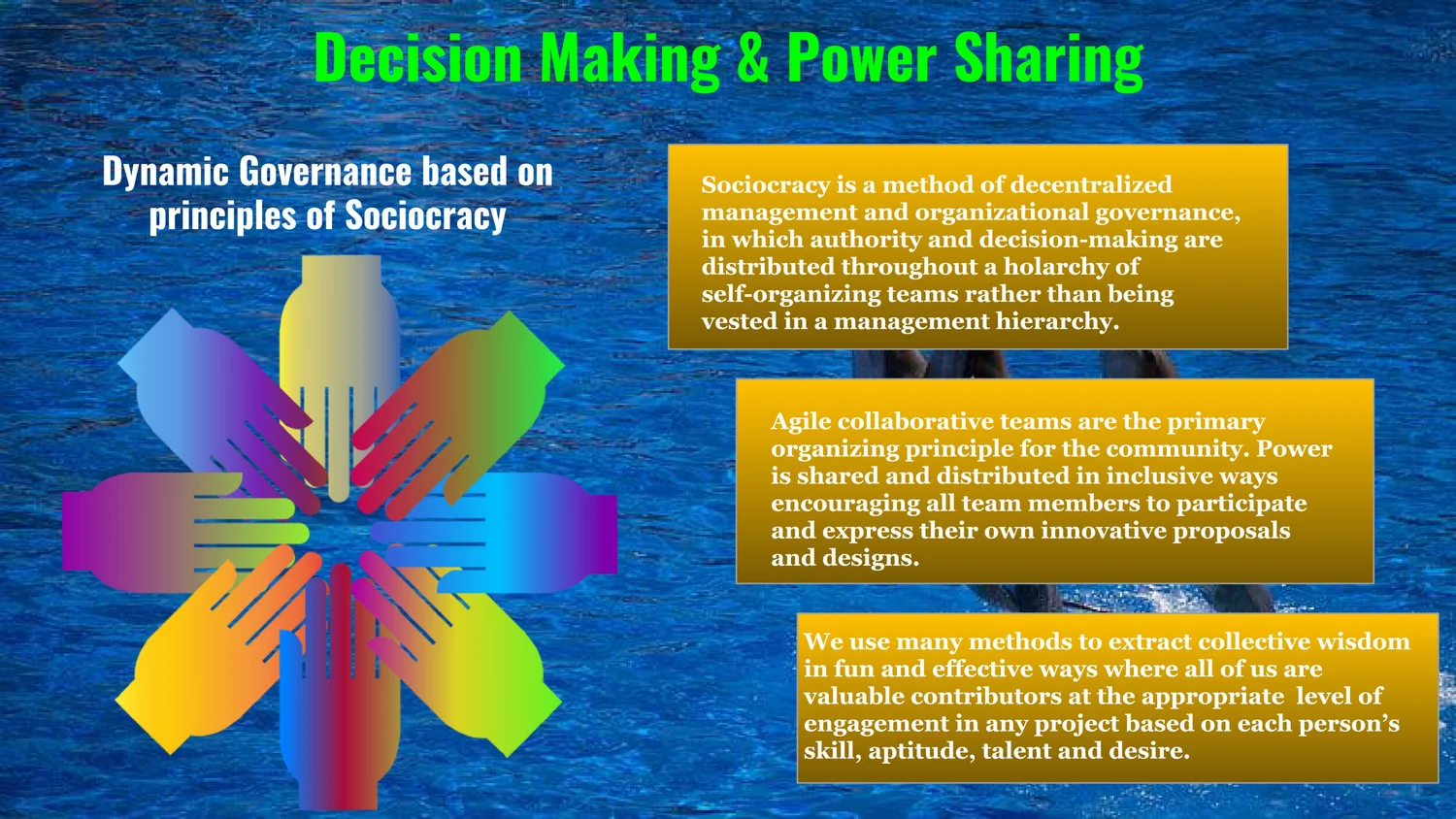 Governance, Decision Making & Team Structure — Coalescence Ecovillage