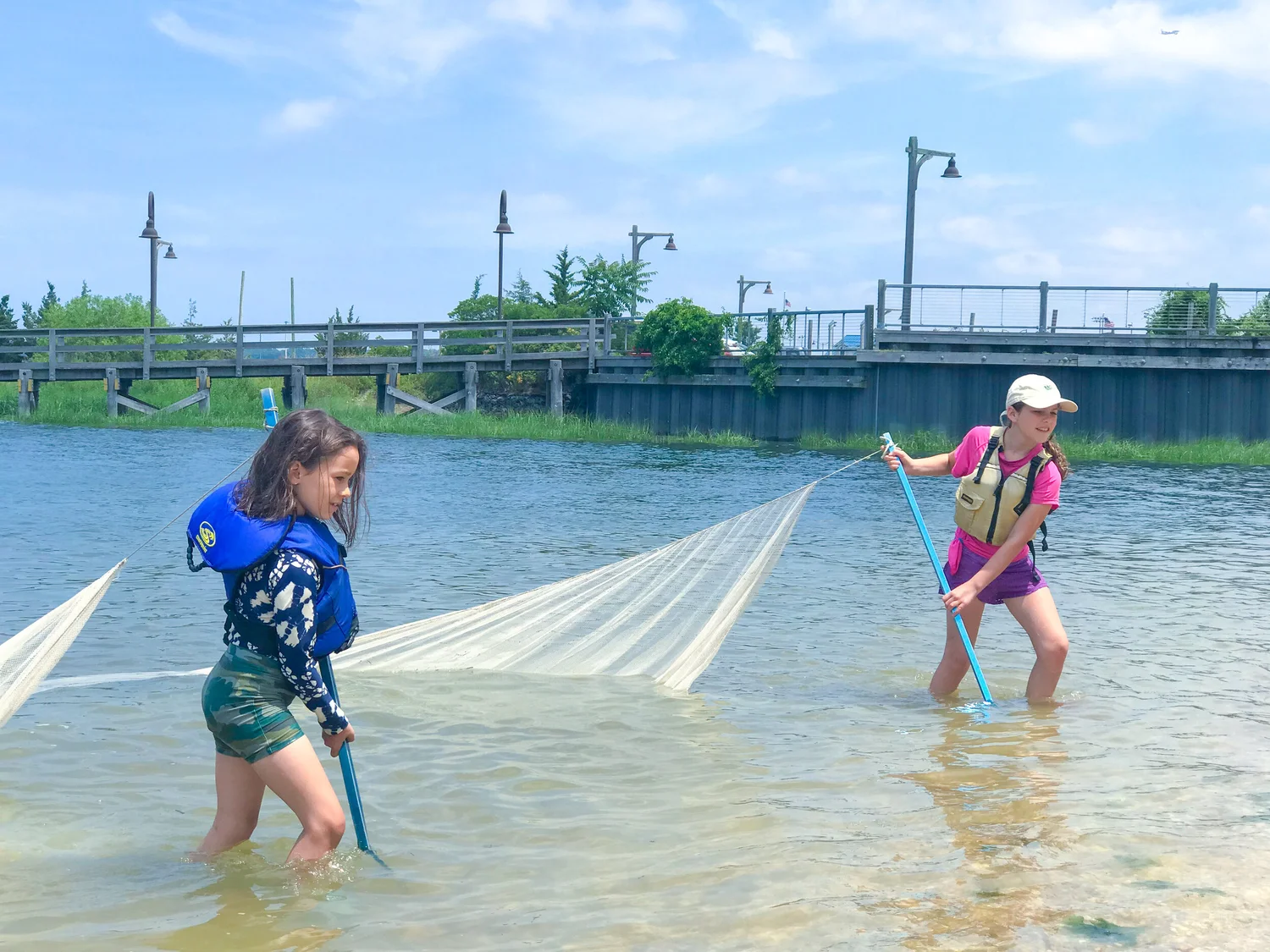 Virtual Field Trips, STEM Activities, Outdoor Field Trips, & Classroom ...