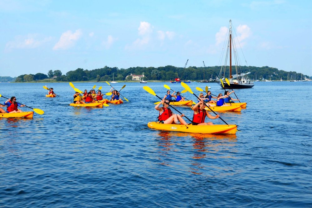 Sailboat, Kayak, & Paddleboard Rentals — The WaterFront Center