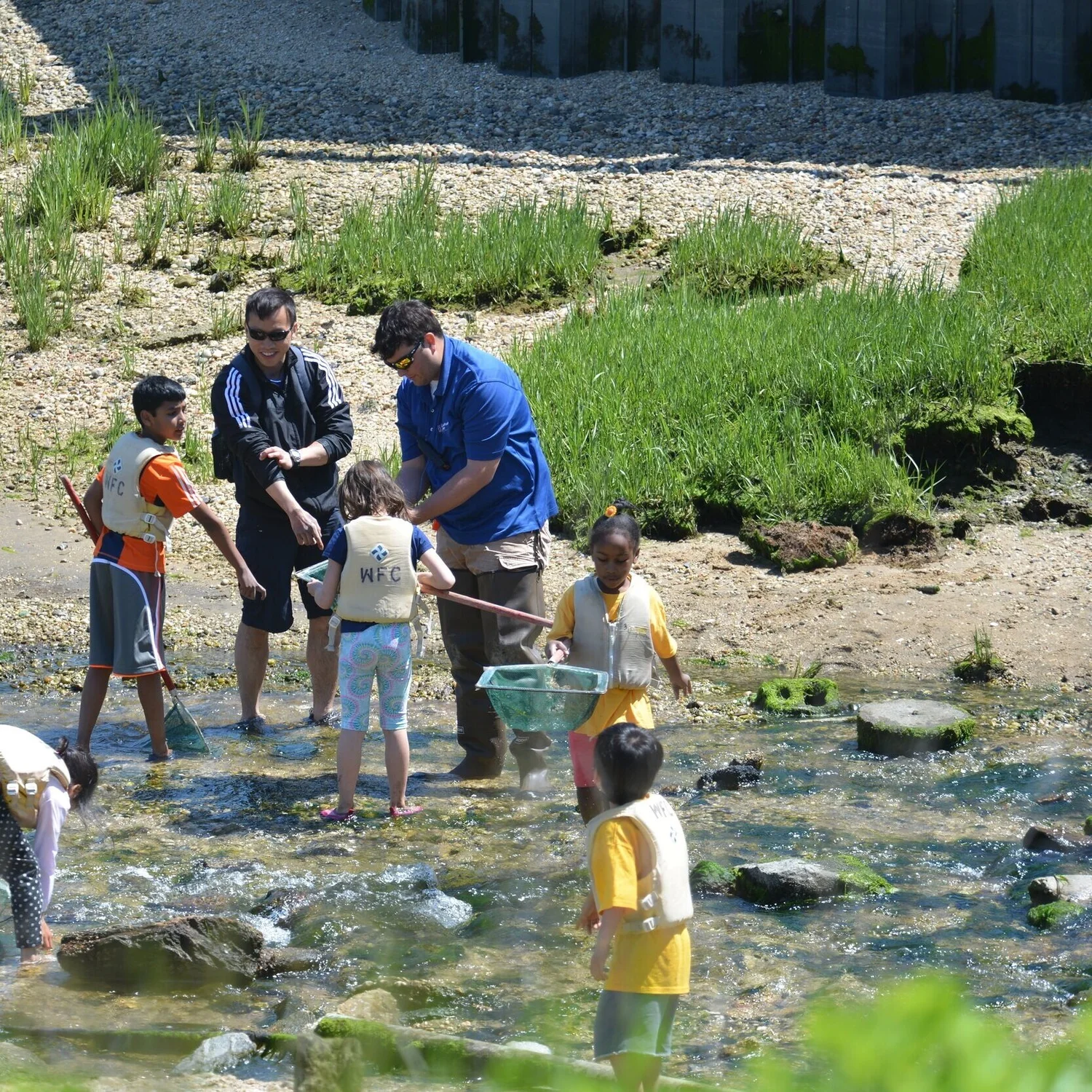 Field Trips & Marine Education - STEM, Ecology, Biology, Earth Science ...