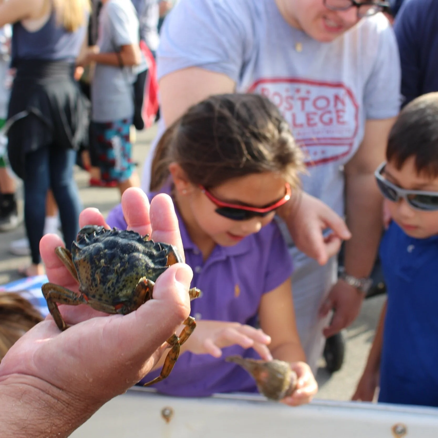 Field Trips & Marine Education - STEM, Ecology, Biology, Earth Science ...