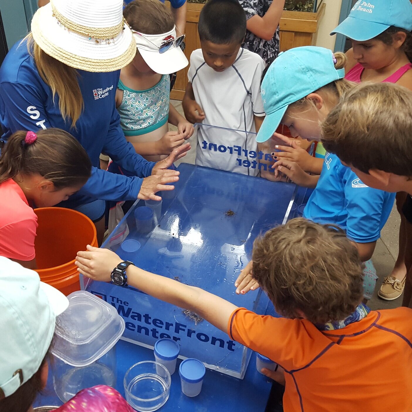 Field Trips & Marine Education - STEM, Ecology, Biology, Earth Science ...