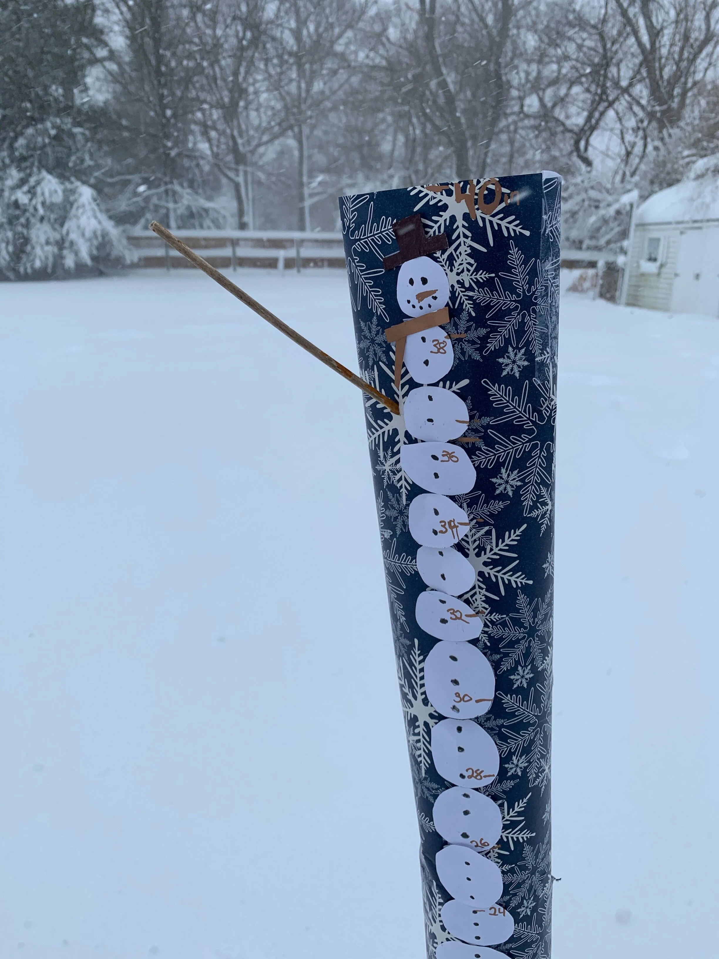 5 Fun Science Activities For Snowy Days — The WaterFront Center