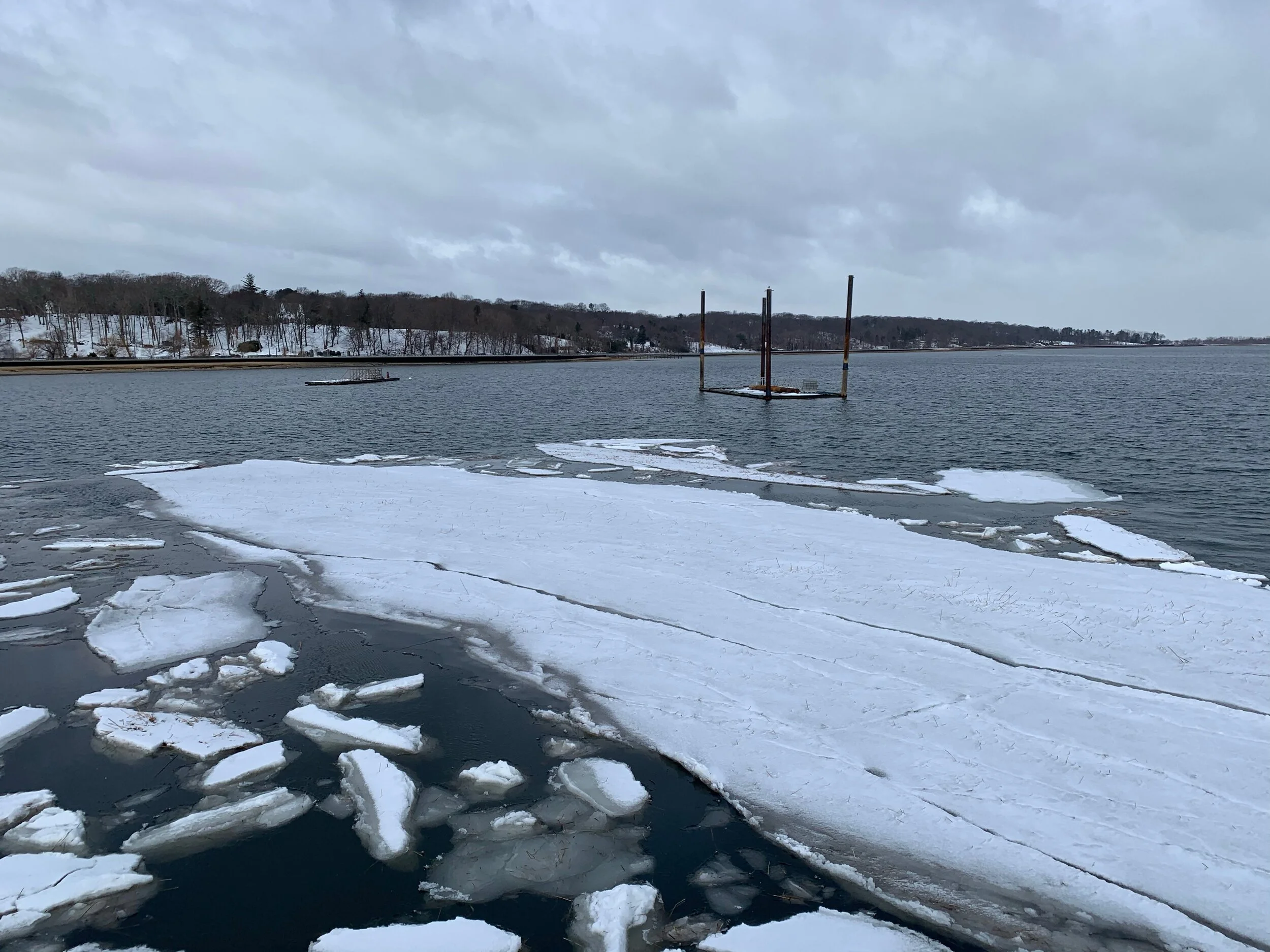 5 Fun Science Activities For Snowy Days — The WaterFront Center