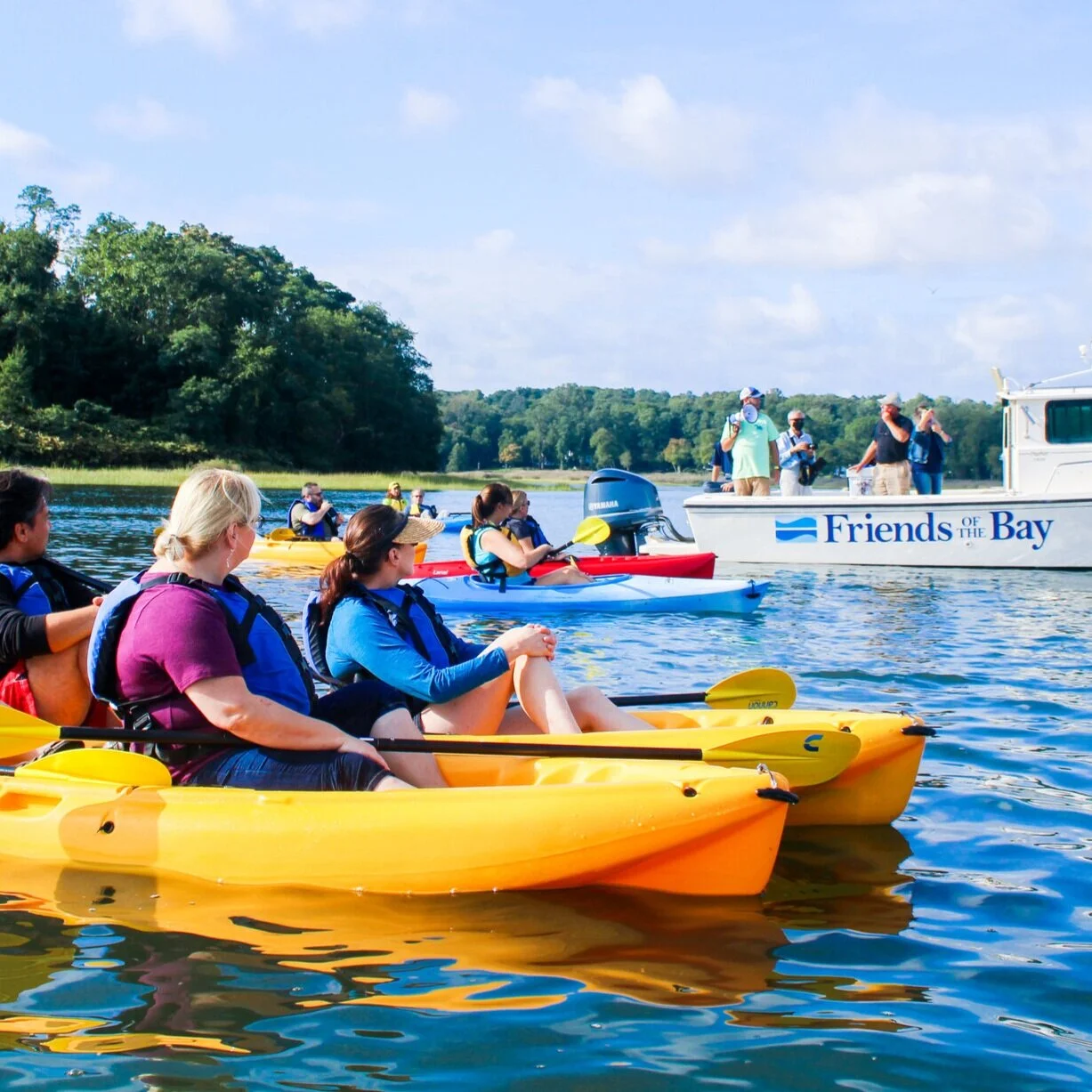Sailboat, Kayak, & Paddleboard Rentals — The WaterFront Center