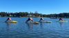 Sailboat, Kayak, & Paddleboard Rentals — The WaterFront Center