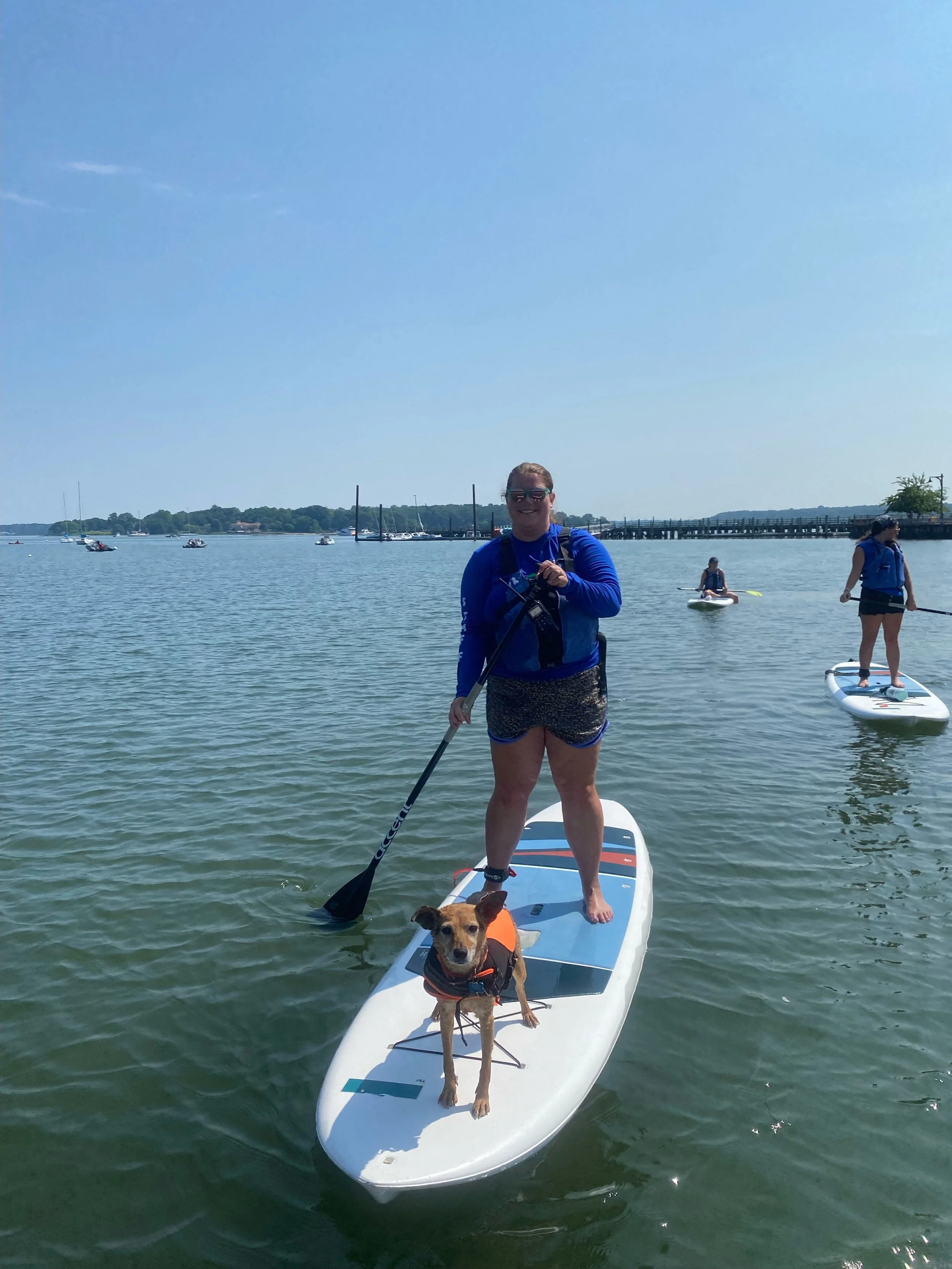 Sailboat, Kayak, & Paddleboard Rentals — The WaterFront Center