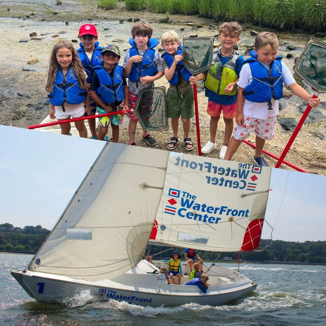 Outdoor Marine Exploration and Youth Sailing Summer Programs & Camp in ...