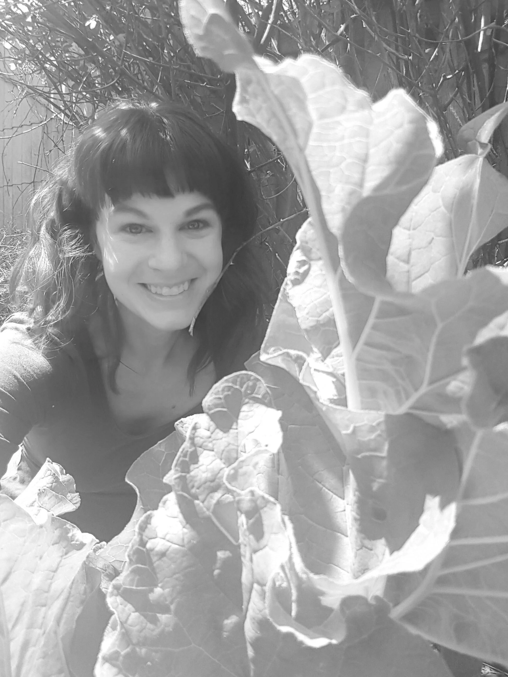 staff — Sanctuary Toronto