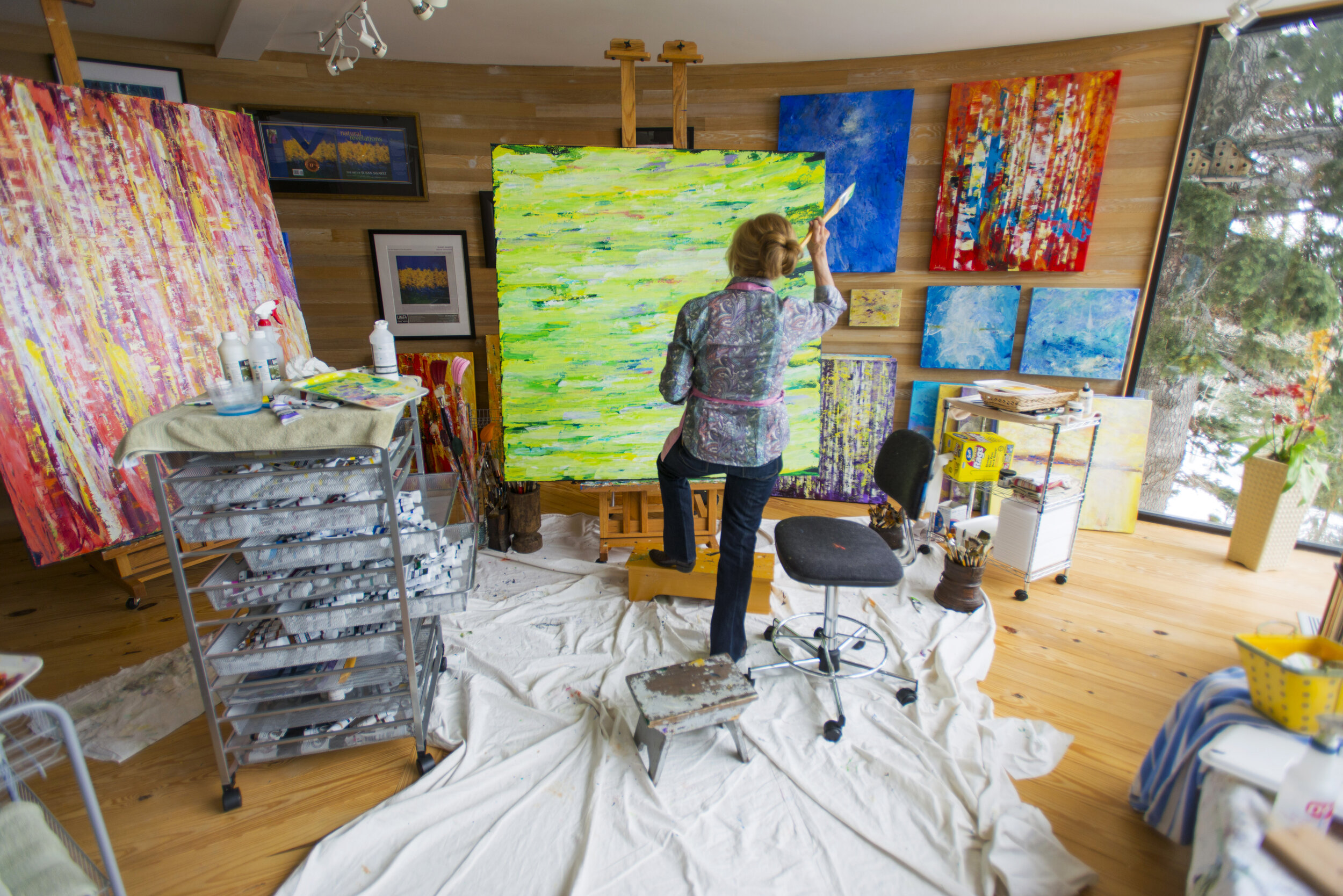 Artist — Susan Swartz Studios