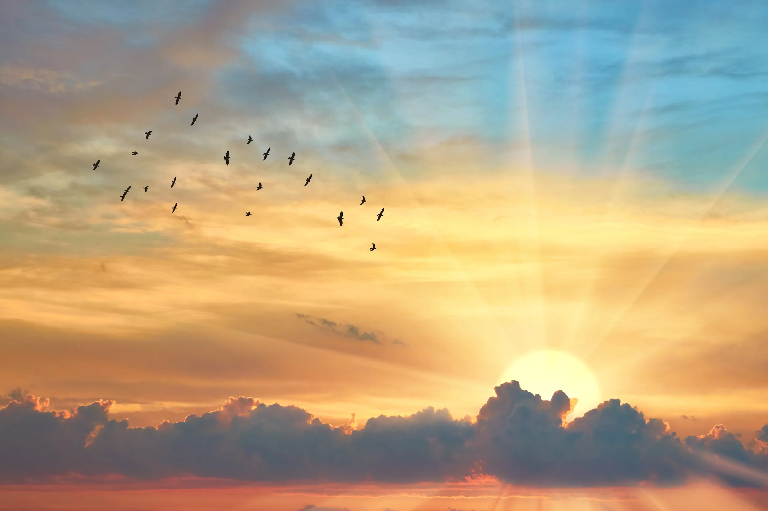 Psalm 136 Hope With God Radio