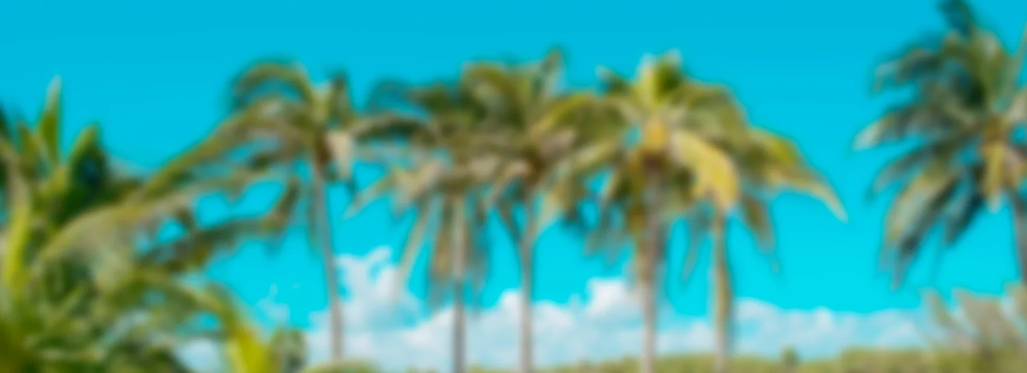 TropiGo Hawaii Candies by Enjoy! | Enjoy Snacks