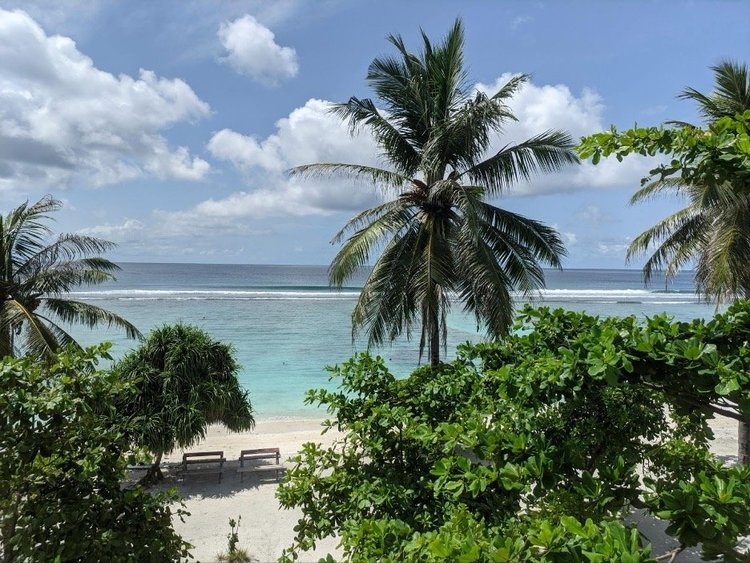 Why Integrated Freight Solutions Win in Hawaii: From Port to Final Mile ...