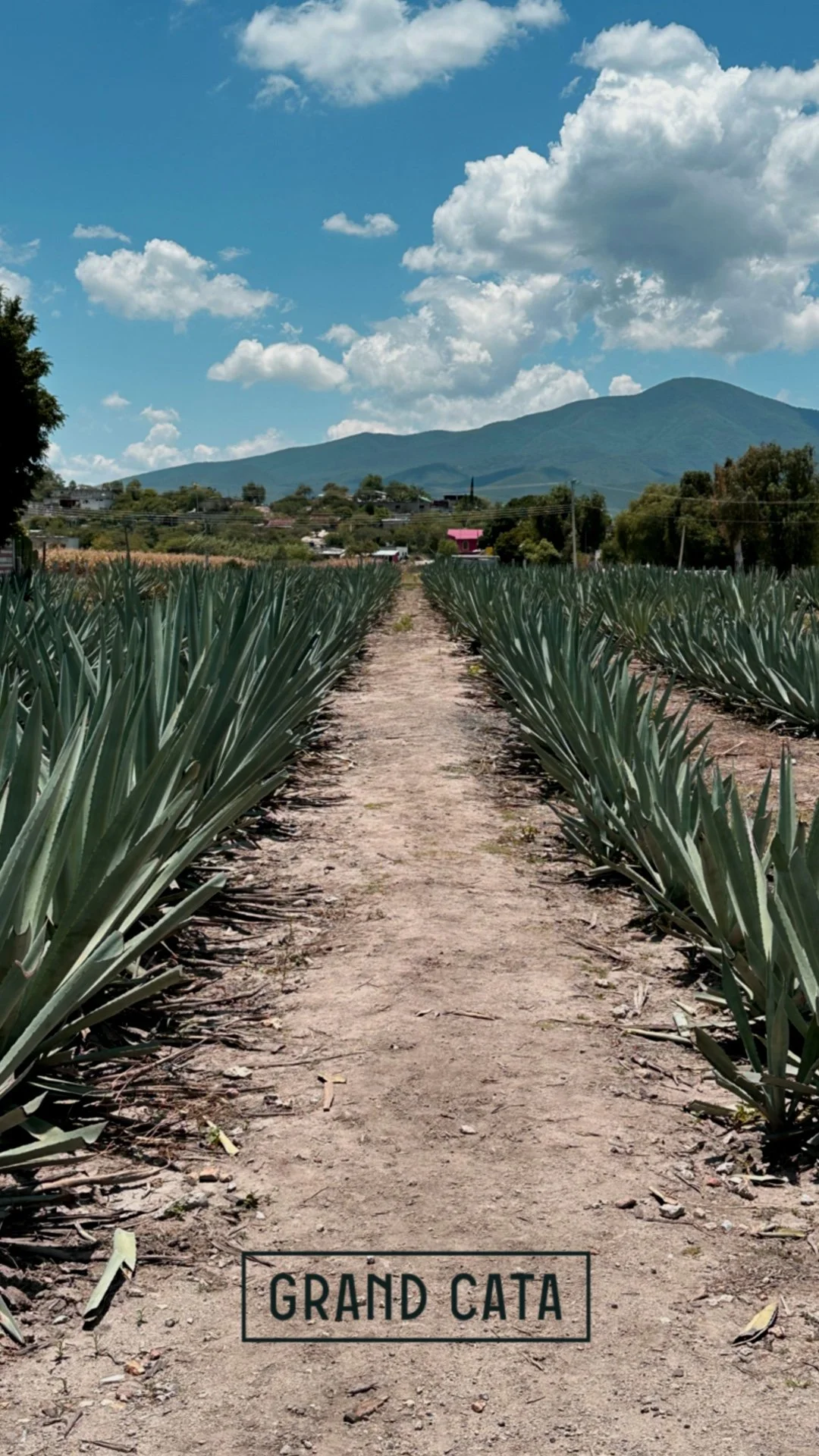 New Events — Grand Cata