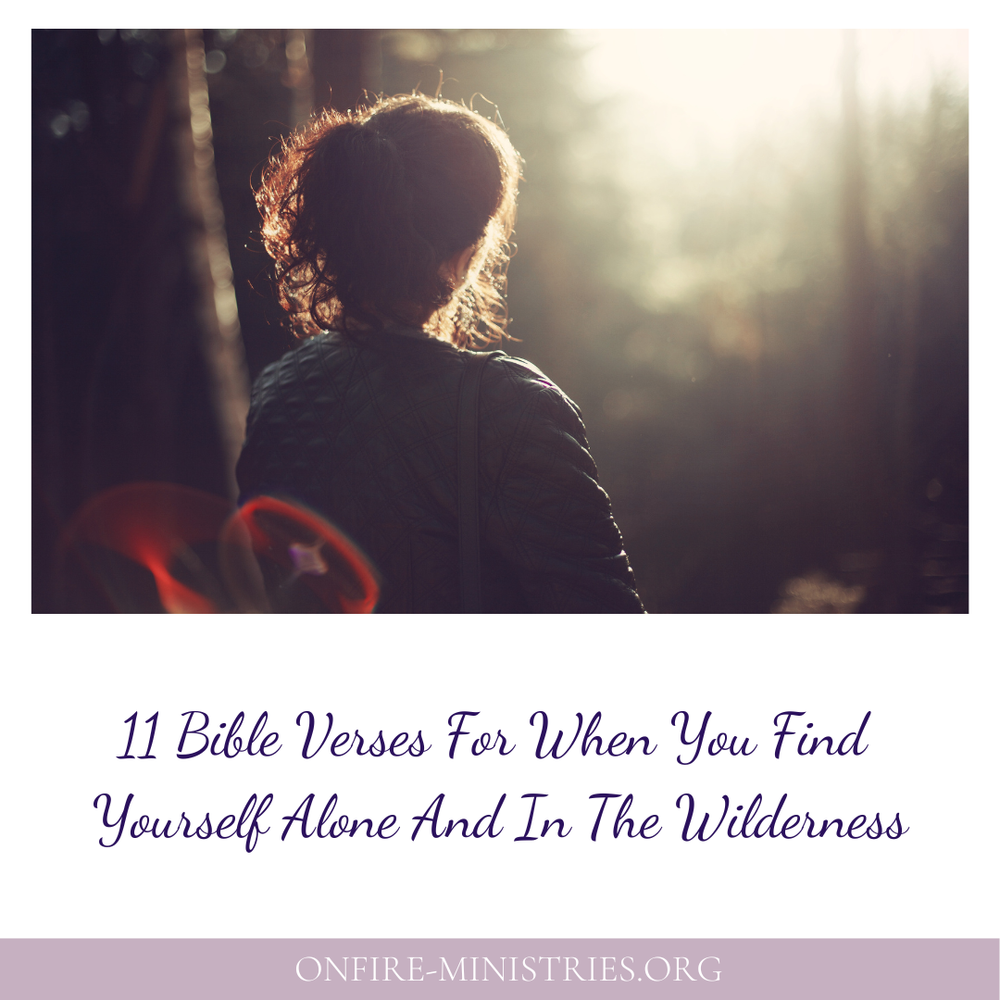 11 Bible Verses For When You Find Yourself Alone And In The Wilderness ...