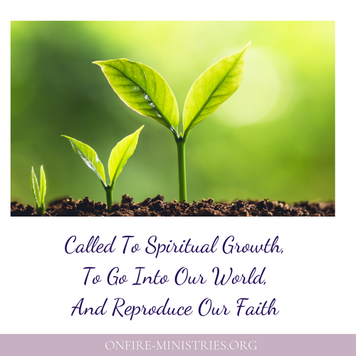 Called To Spiritual Growth, To Go Into Our World, And Reproduce Our ...