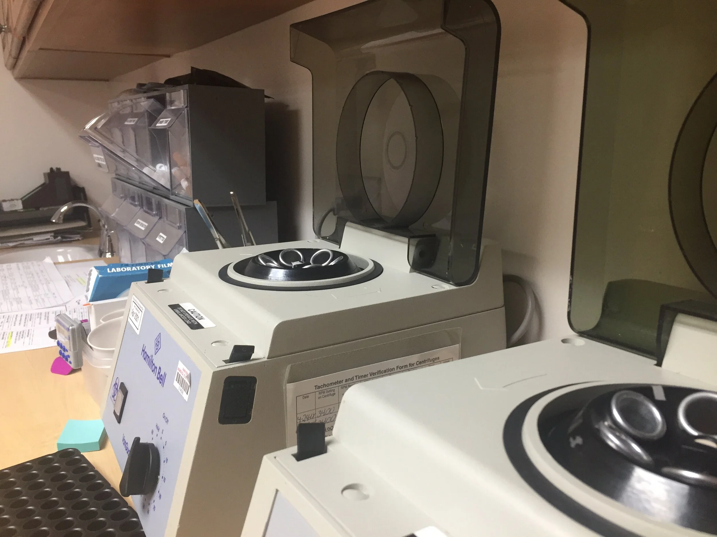Laboratory Monitoring — Community Health Clinic