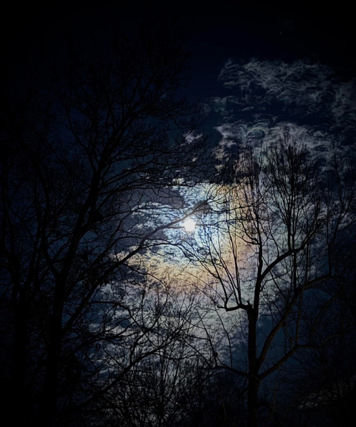 FULL MOON IN CANCER: A SPECIAL JIVAMUKTI OPEN 95E+ FEAT. CACAO+CARDS by ...