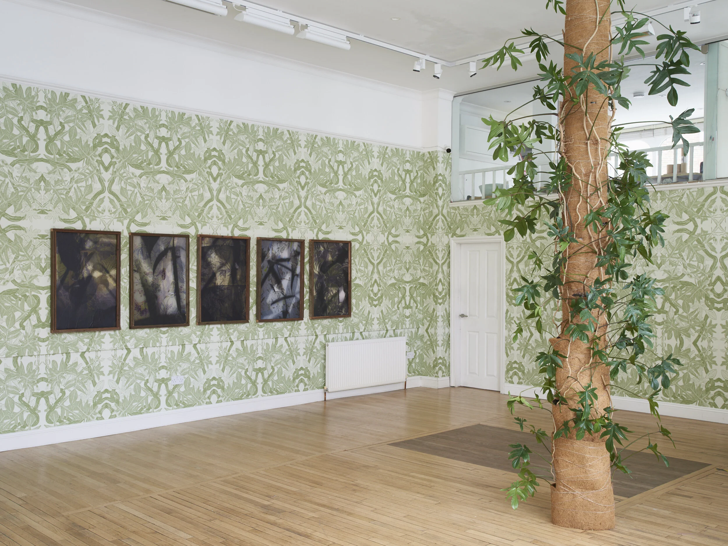 San Mei Gallery — Matthew Beach: The Herbarium's Shadow