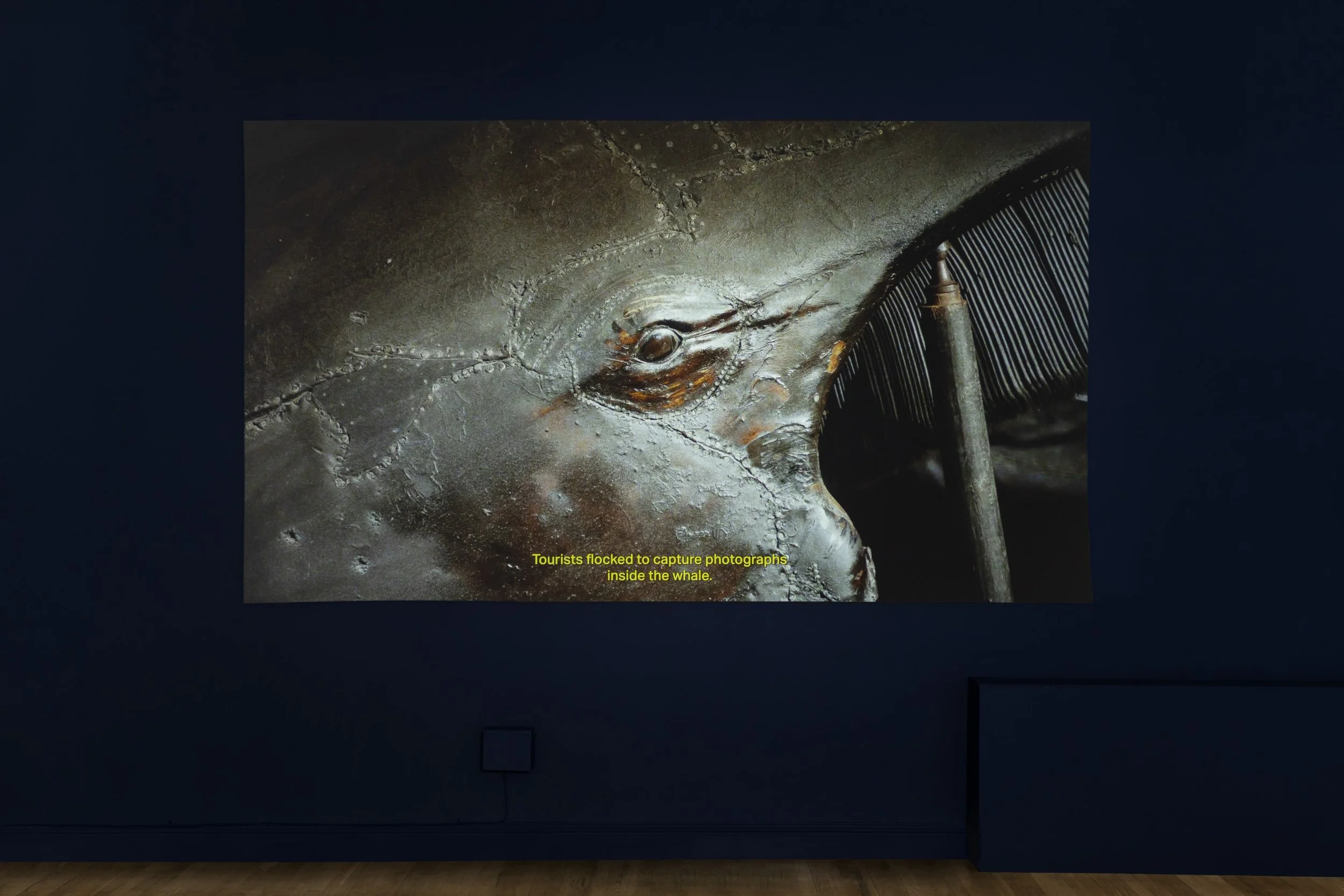 San Mei Gallery — Sam Williams: Deep in The Eye and The Belly (Part One)