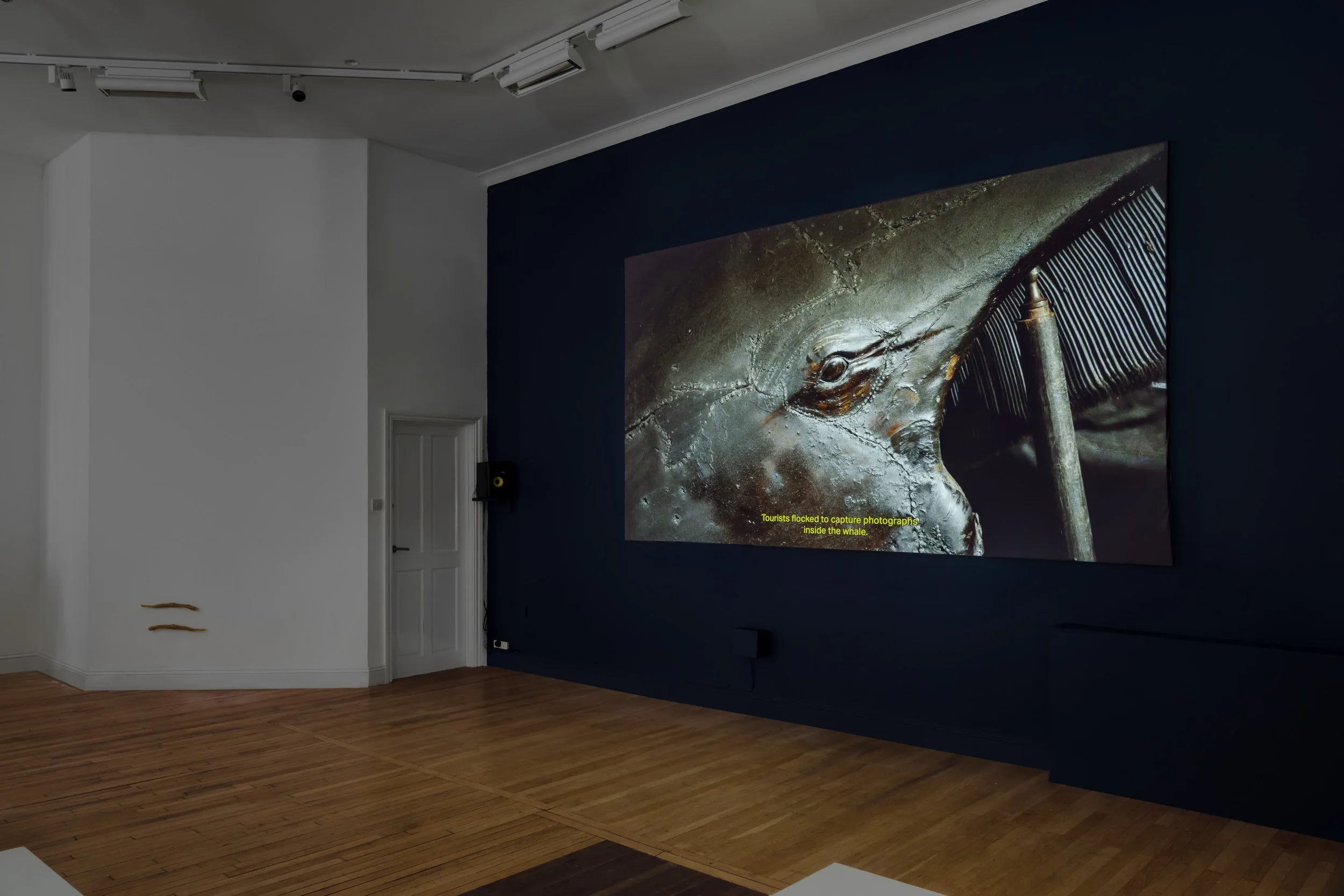 San Mei Gallery — Sam Williams: Deep in The Eye and The Belly (Part One)