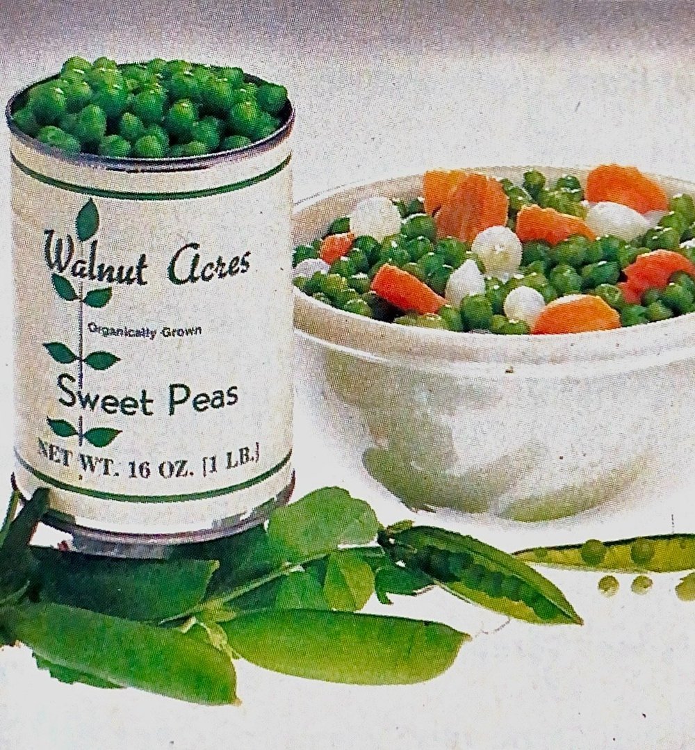 Pea Viner — Walnut Acres Foundation