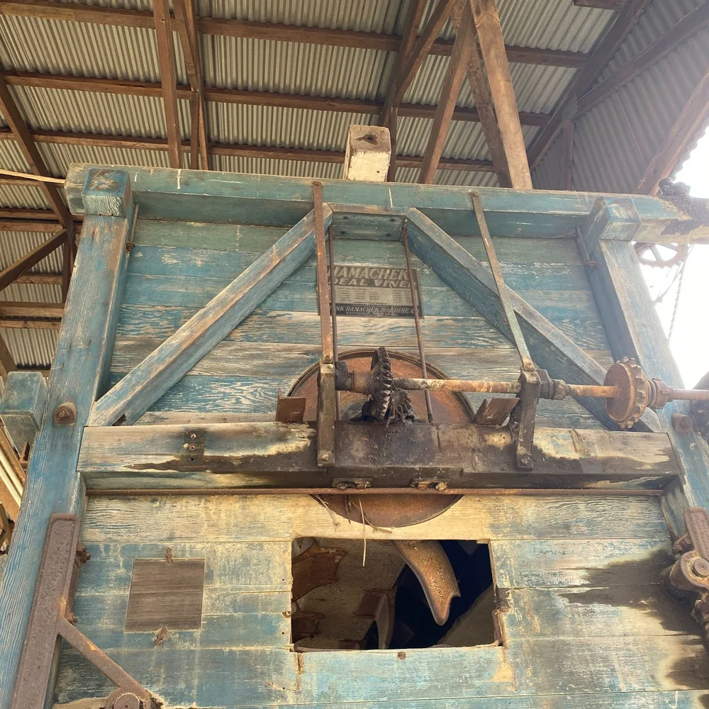 Pea Viner — Walnut Acres Foundation