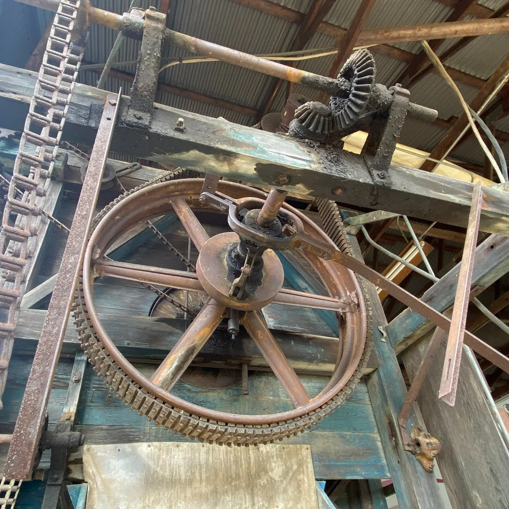 Pea Viner — Walnut Acres Foundation