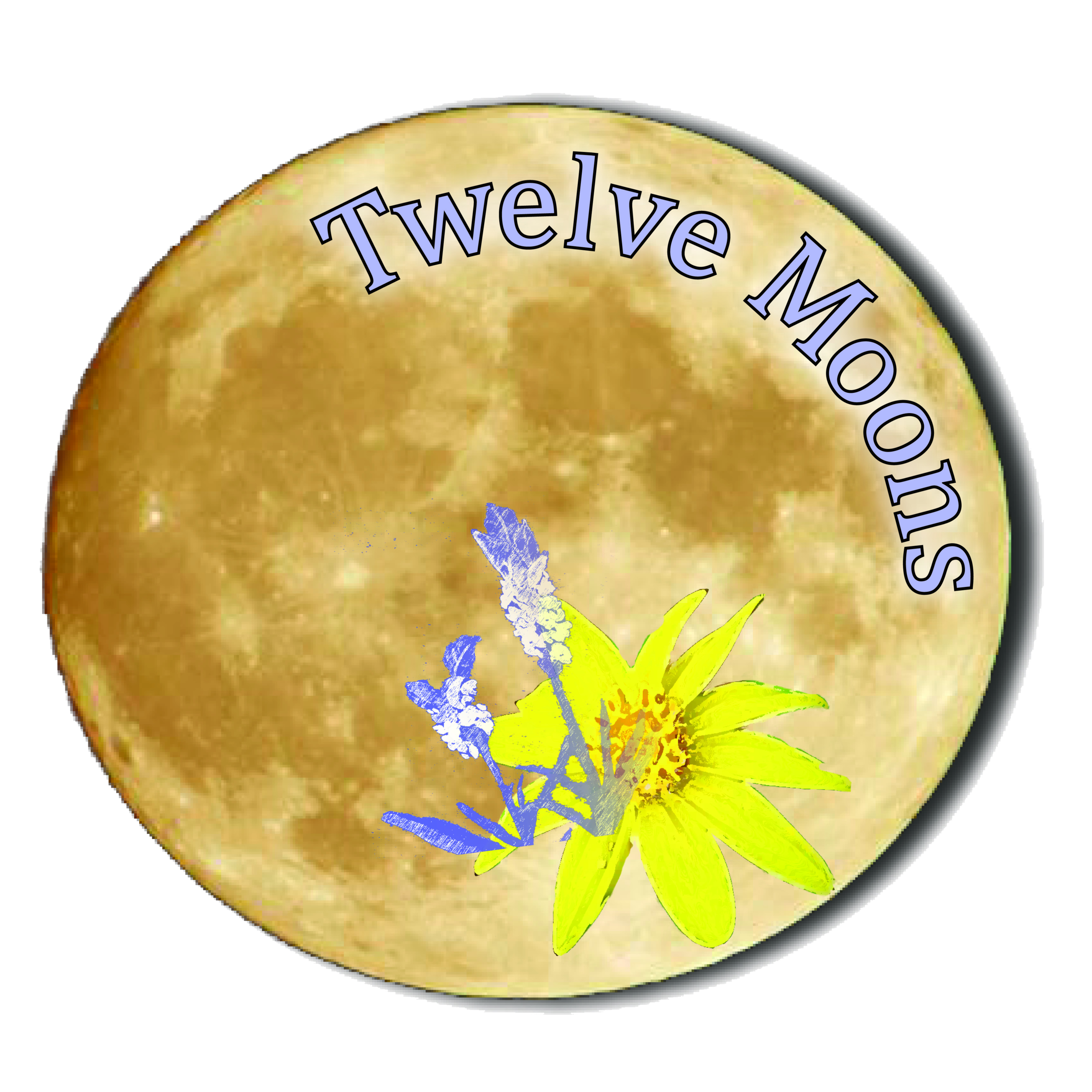 Twelve Moons Of The Year