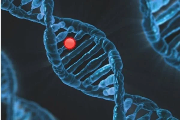 Is ADHD Primarily Inherited From The Mother’s Genetics?