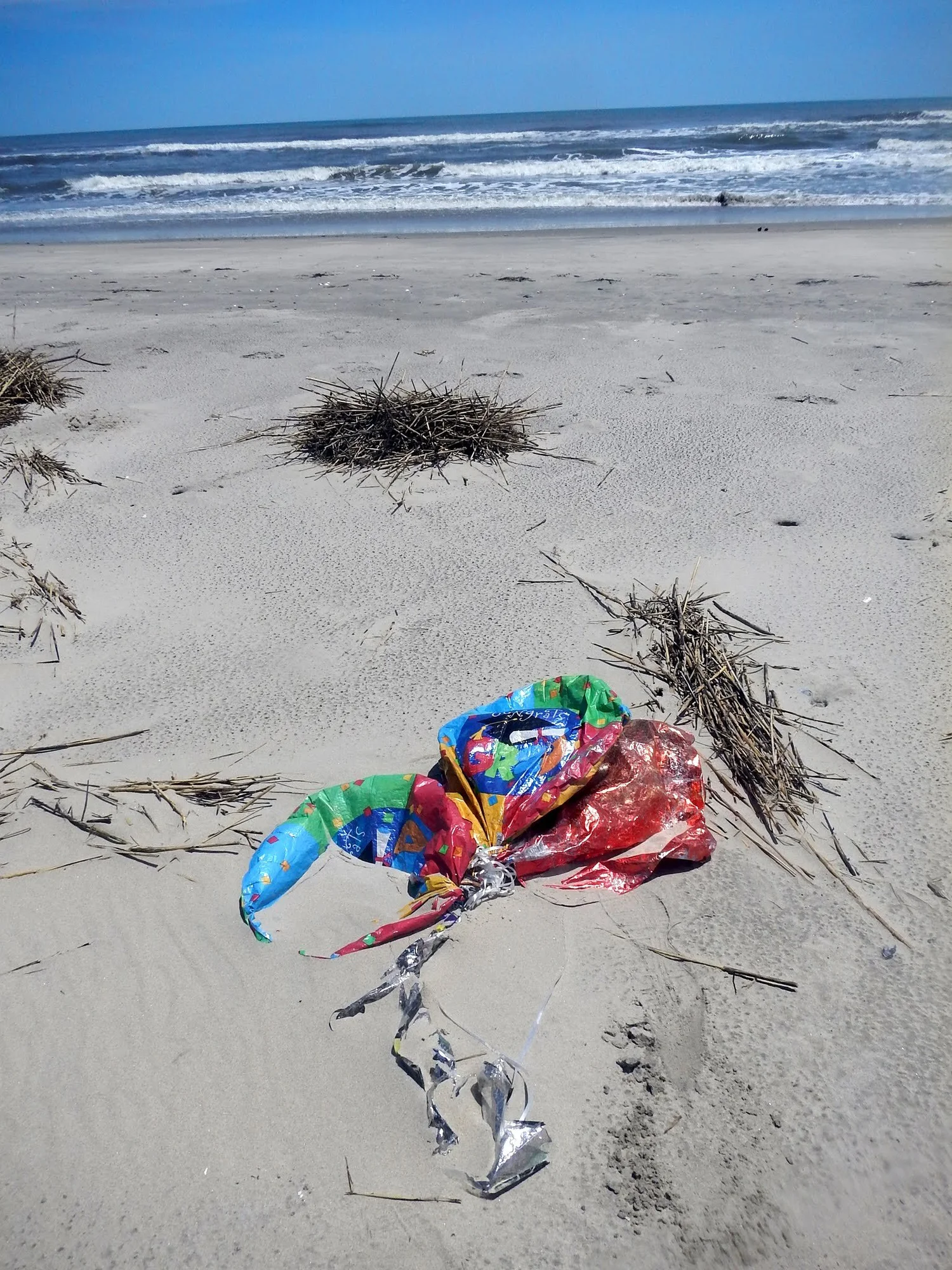 What is Unique About Balloon Litter? — Prevent Balloon Litter